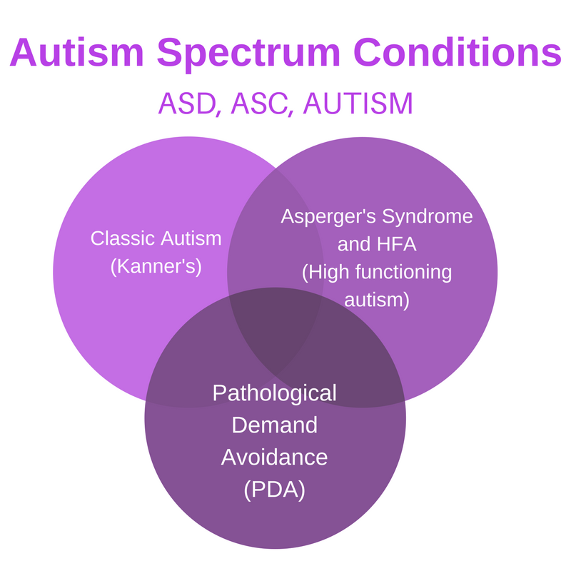 Does my child have Pathological Demand Avoidance? - Steph's Two Girls