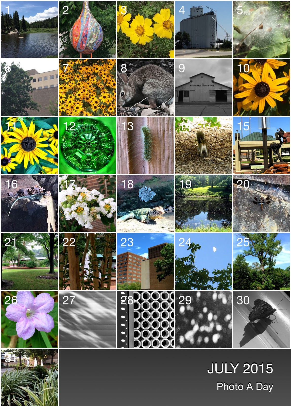 10,001 DP: July 2015 - 10,001 DP