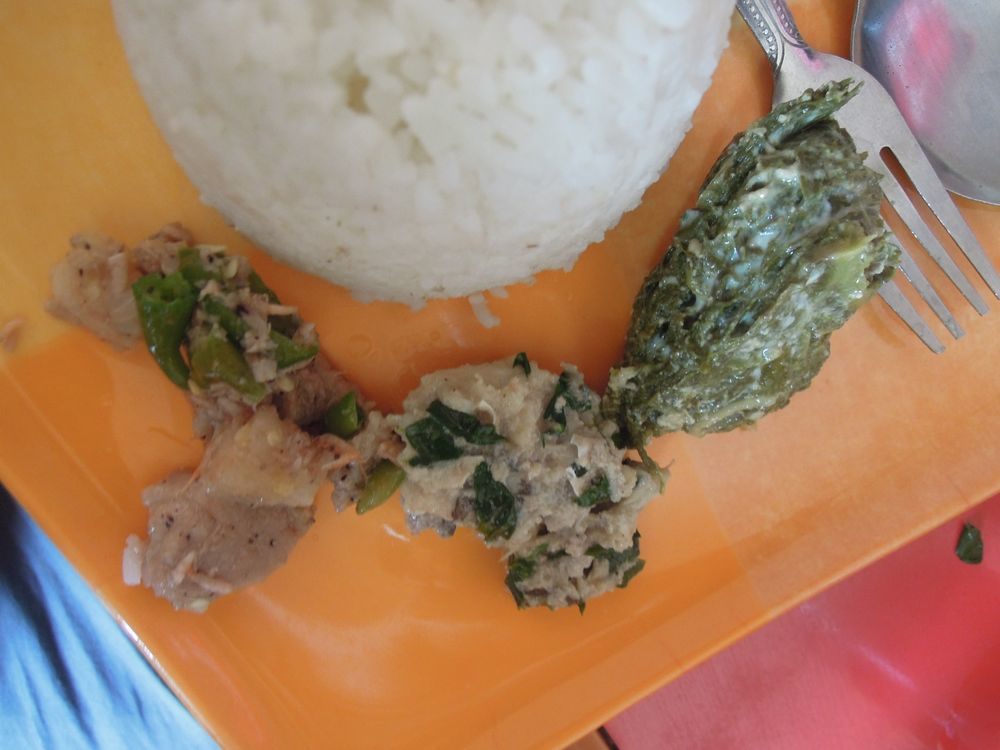 The 11 Top Things To Do In Albay [Tourist Spots, Food, + Itinerary ...