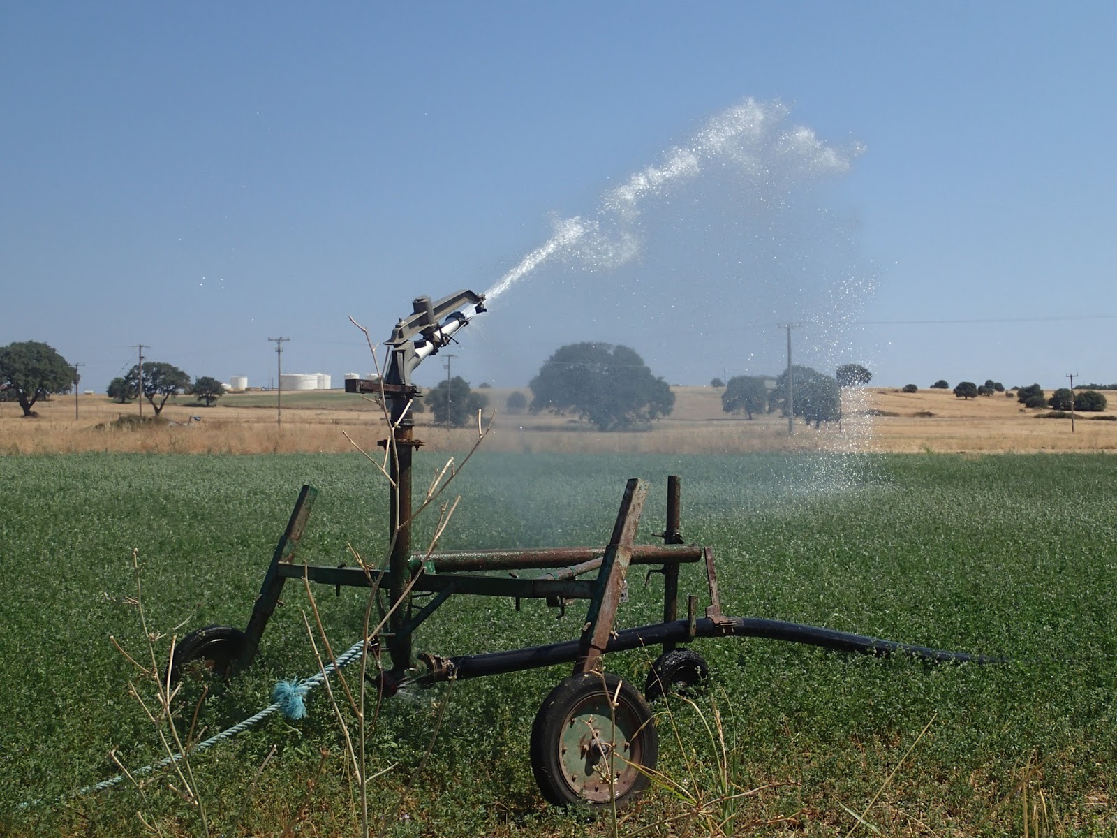 Athens Nature Journal: Summer University of Samothraki 2016: Snapshots