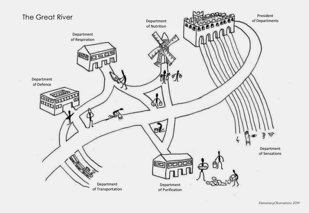 Elementary Observations: The Great River