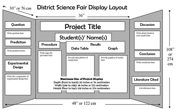 Eagle Valley Science Fair: Display Board