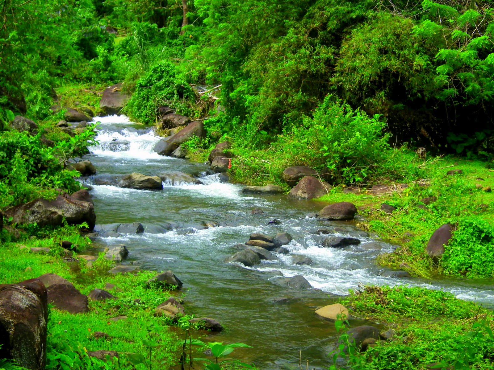 Trip ni DorangExplorer: Bacolod - Nature Trip at Negros Occidental