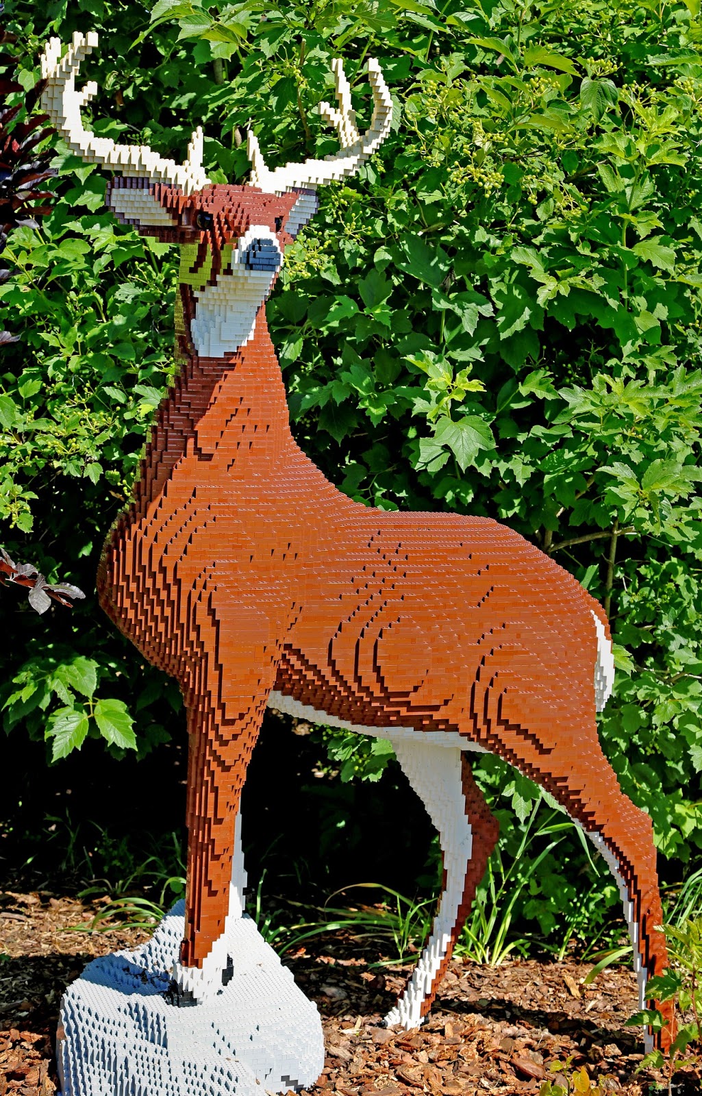 Funke Photos: LEGO Deer