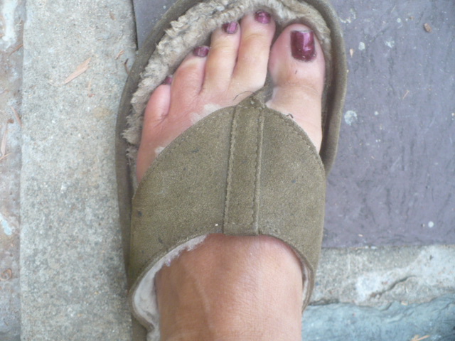 Gear Acres at Top of the Hill: 07/01/2011 - 08/01/2011