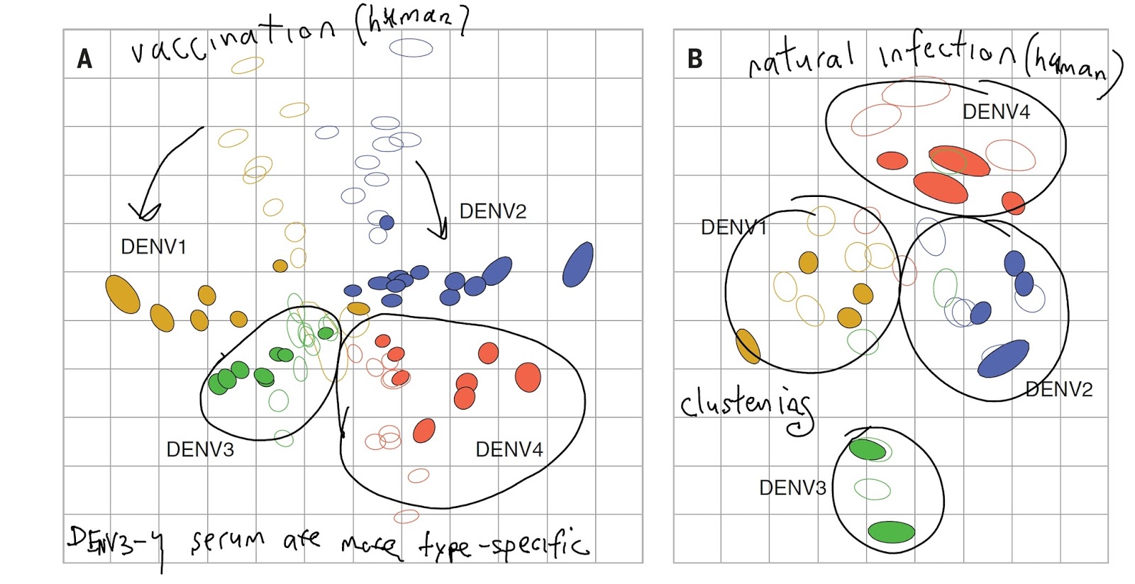 Antigenic cartography of dengue virus types reveal extensive ...
