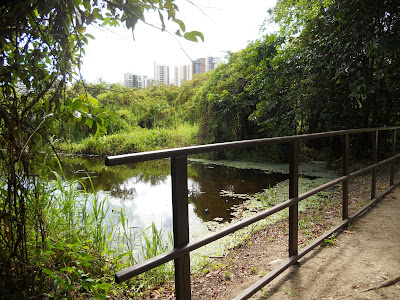 Cultura Ciliar - Conciliar a Natureza com a Cultura: Parque do Cocó ...