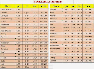 Tahapan Pemberian Nutrisi Tabel Nutrisi Hidroponik Per Minggu