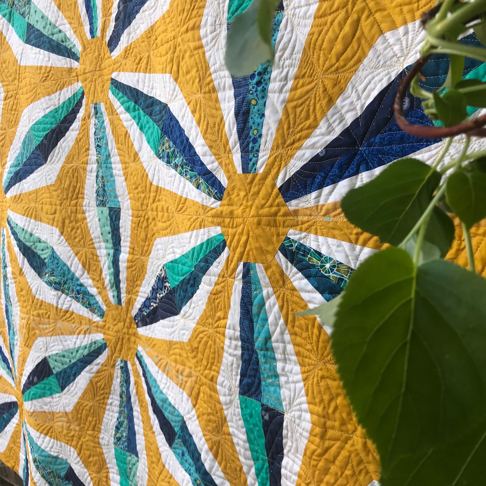 A Few Scraps: Star Lattice