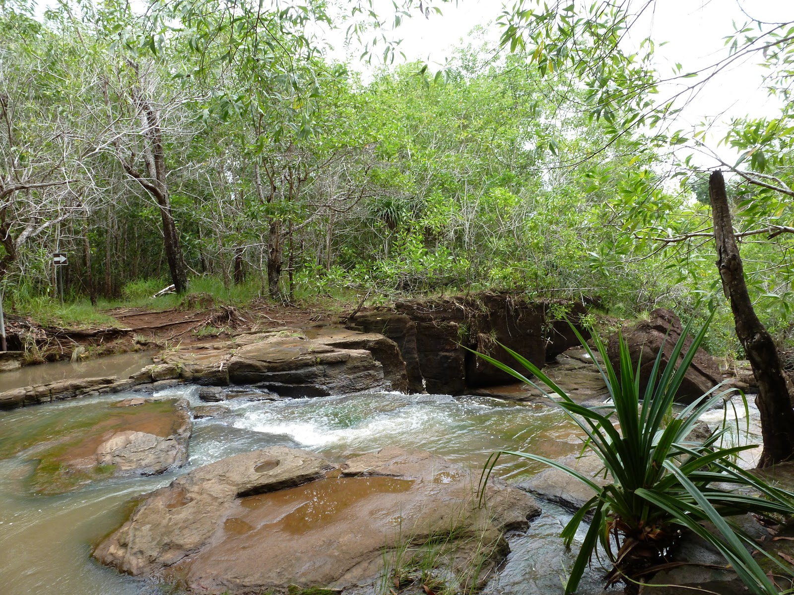 Guamaniacs: Boonie Stomping: Tarzan Falls