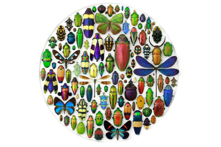 art and poetry that resonates