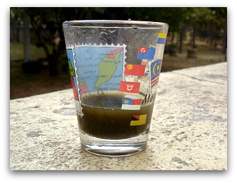 Krishna Tulsi | Thulasi | Tulasi Plant Medicinal Uses: Krishna Tulsi ...