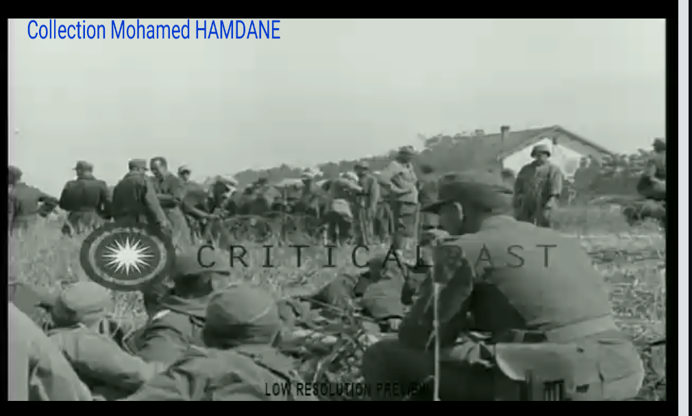 CULTURE et PATRIMOINE DE TUNISIE EN IMAGES- MOHAMED HAMDANE-ثقافة وتراث ...