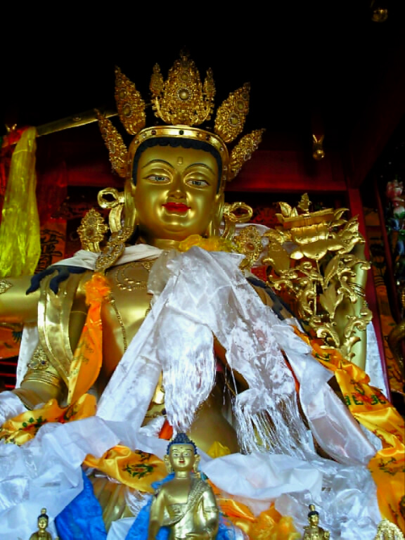 Life Of Lopsided 8: Om a ra pa cha na dhih dhih dhih dhih dhih...