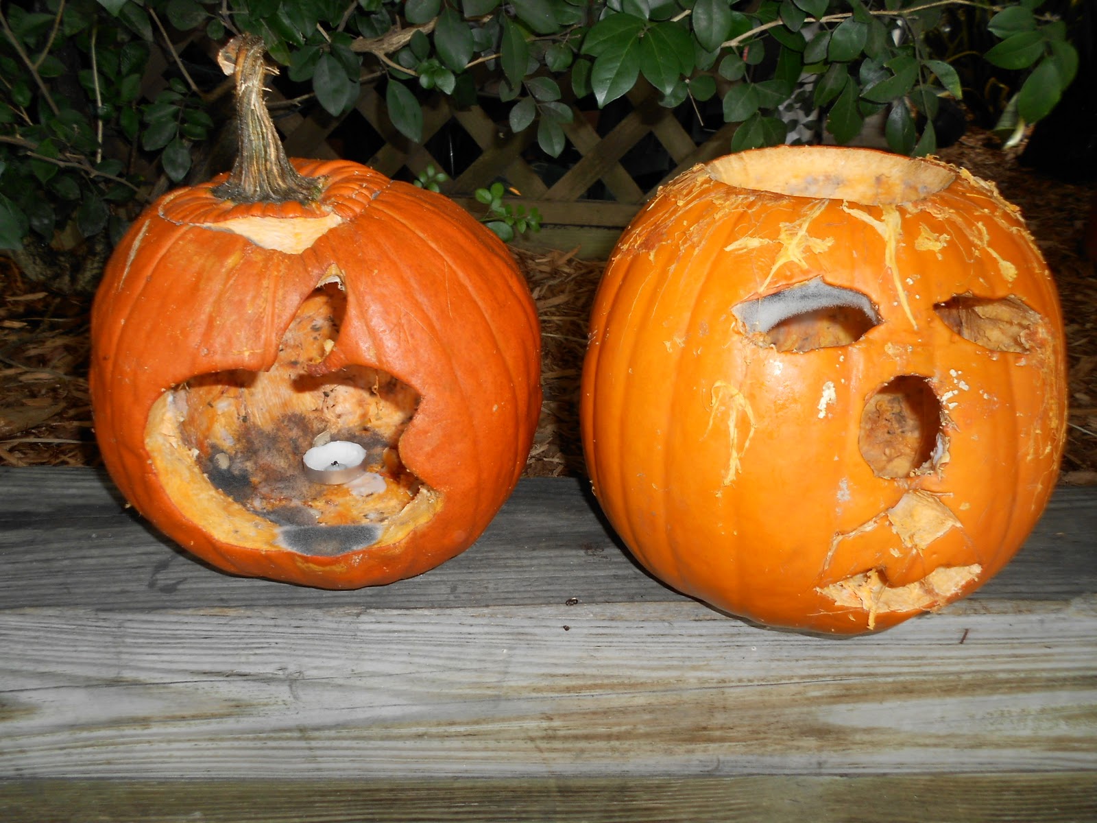 The Marine Installer's Rant: Signs of fall in Florida