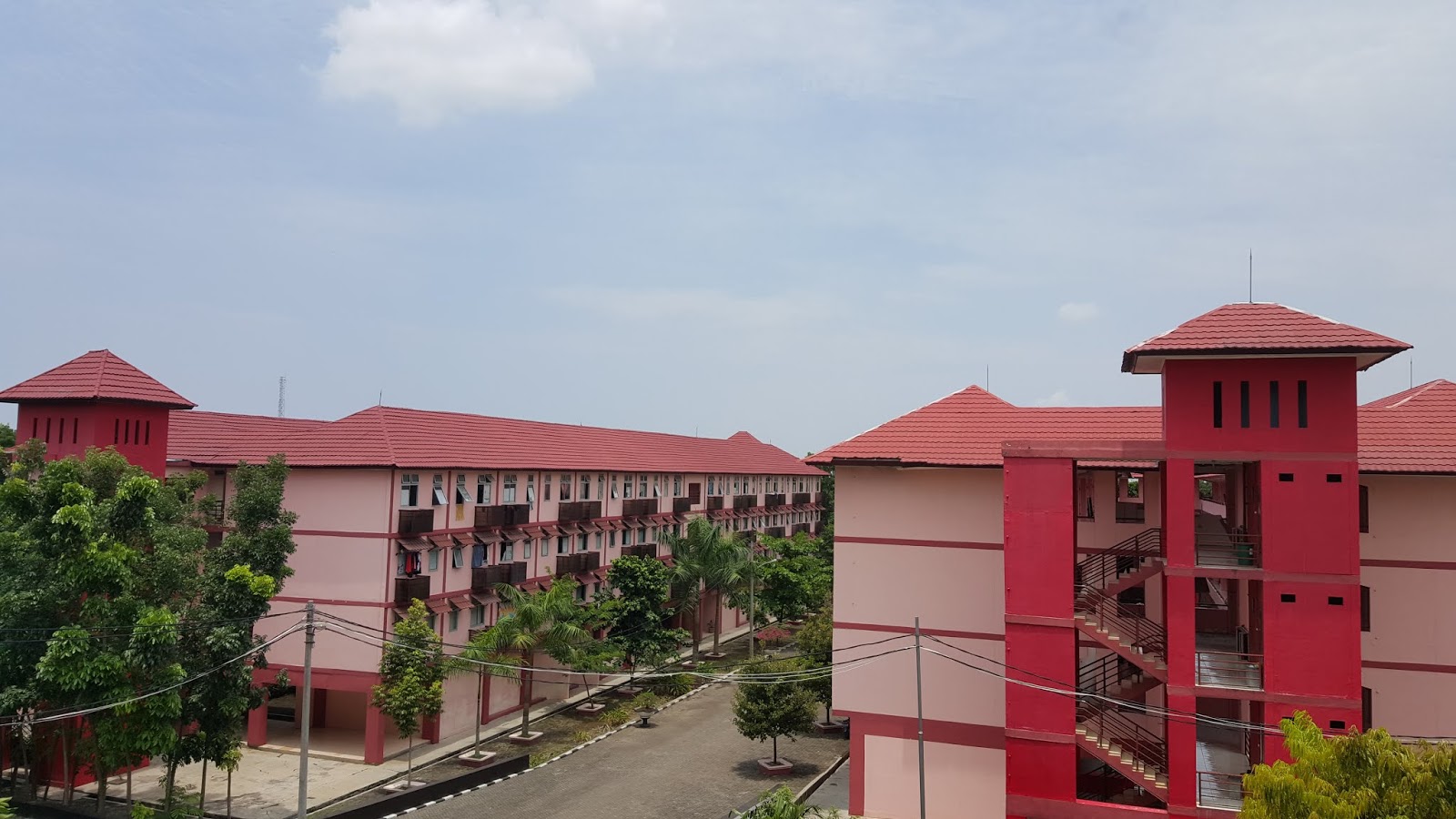 Mengenal Lebih Dekat Universitas Diponegoro