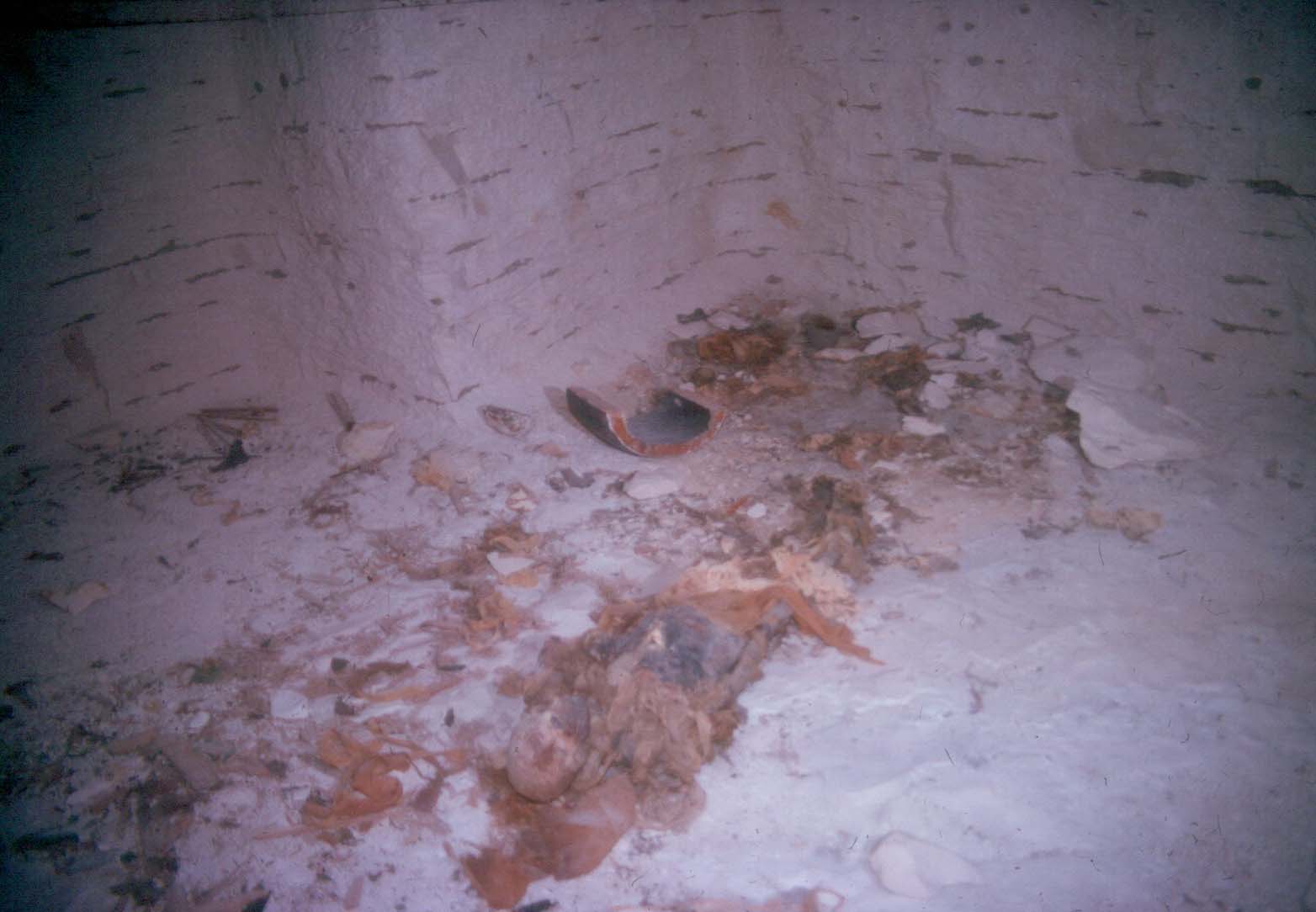 Pacific Lutheran University Valley of the Kings Project: KV 60: AN ...