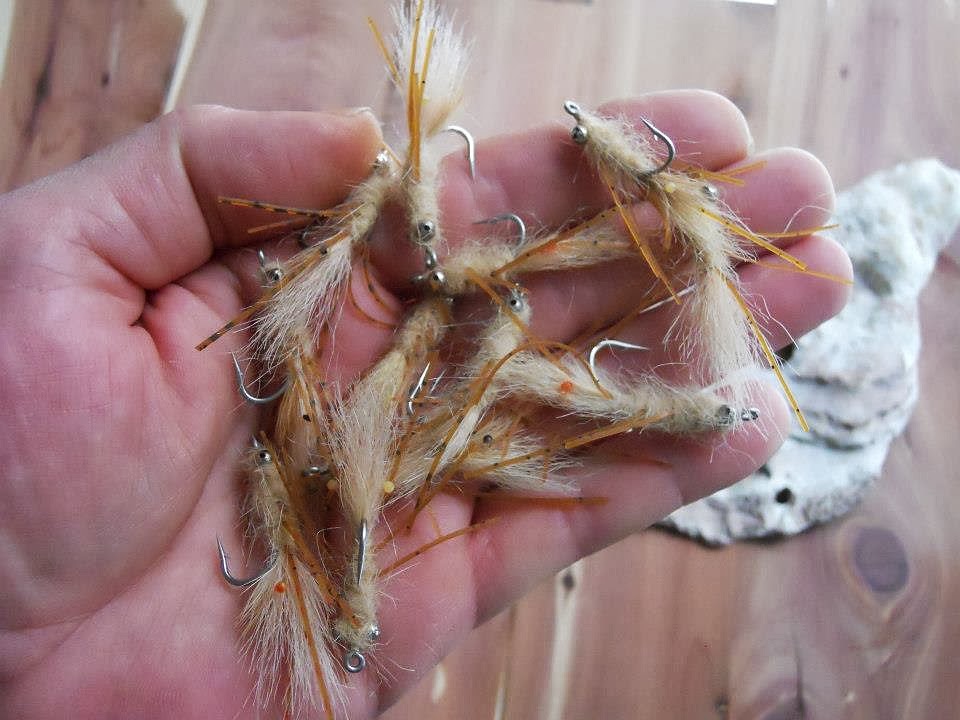 Fly Paper: My Top 5 Bonefish Flies: #1 Bob Veverka's Mantis Shrimp