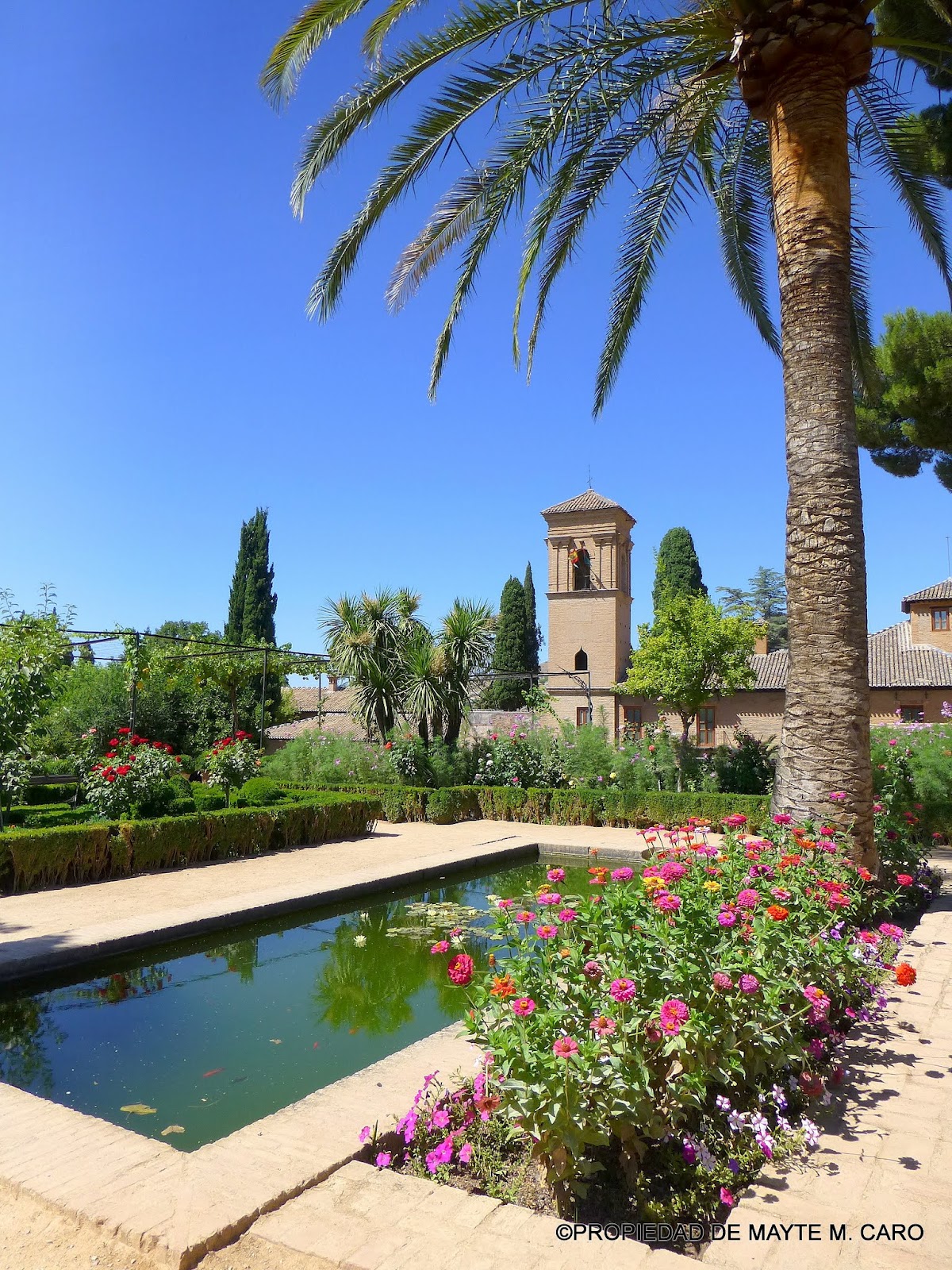 FUENTES EN GRANADA: la alhambra tiene rincones de ensueño y dentro de ...
