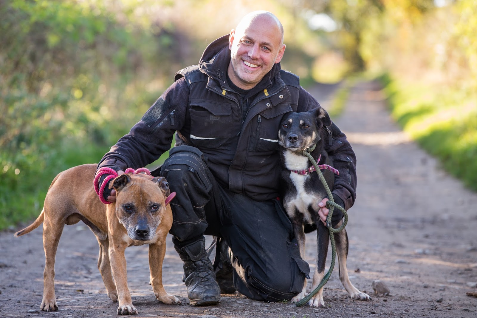 "It's A Dog's Life"..... SHAK (Safe Homes And Kindness): Thank You Andy ...