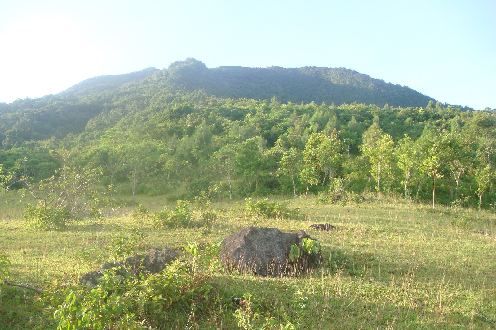 LAGATAW: Mt Panamao: The Disappearing Trail