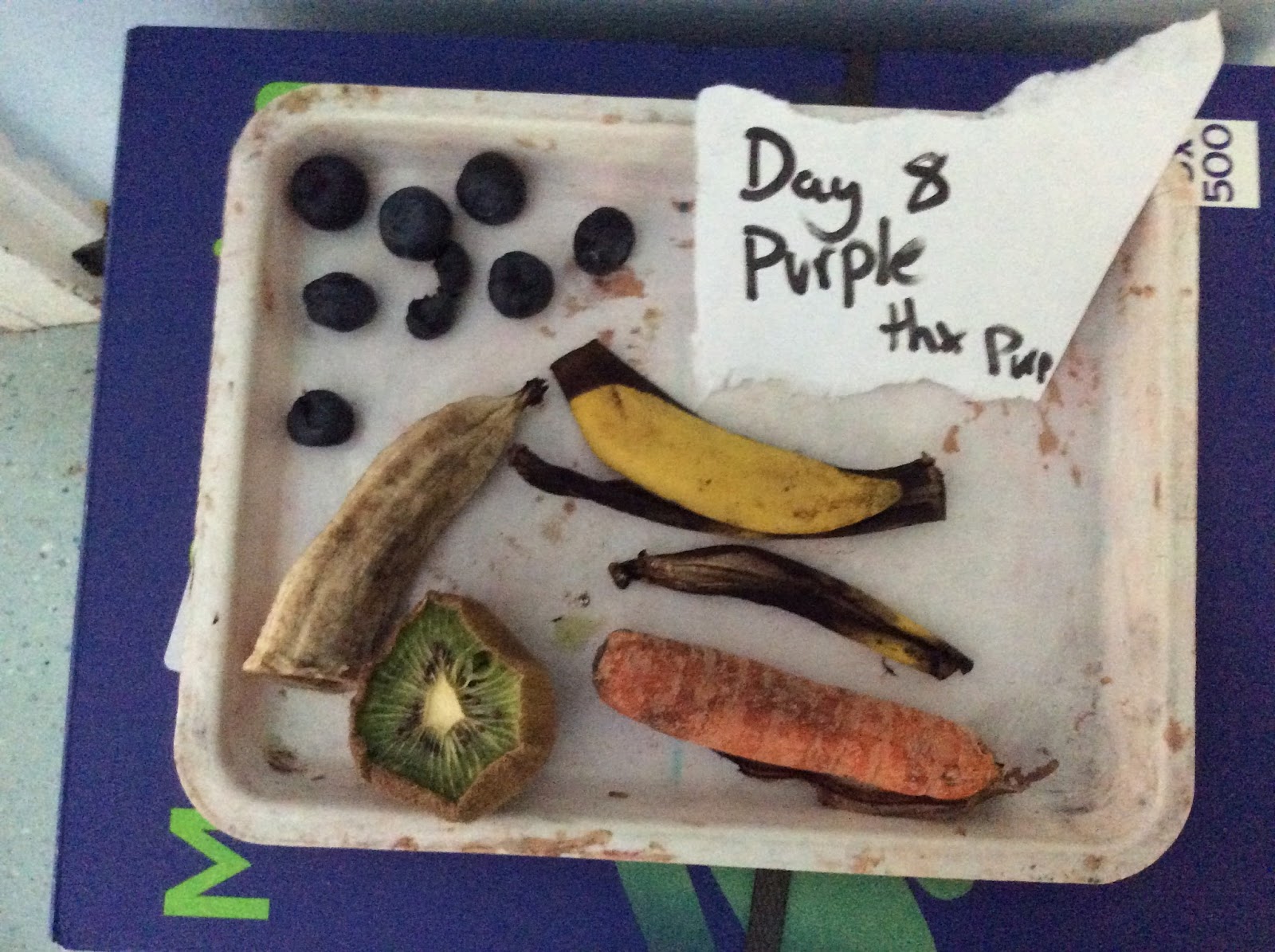 Great Gaddesden School Yr 3 & 4: Science Experiments with Food.