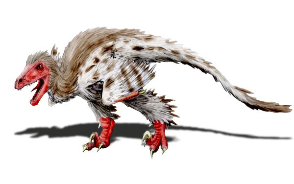 Love in the Time of Chasmosaurs: Interview with paleoartist Nobu Tamura