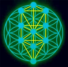 11WakeupFromTheillusion11: Sacred Geometry- Flower Of Life / Torus Energy