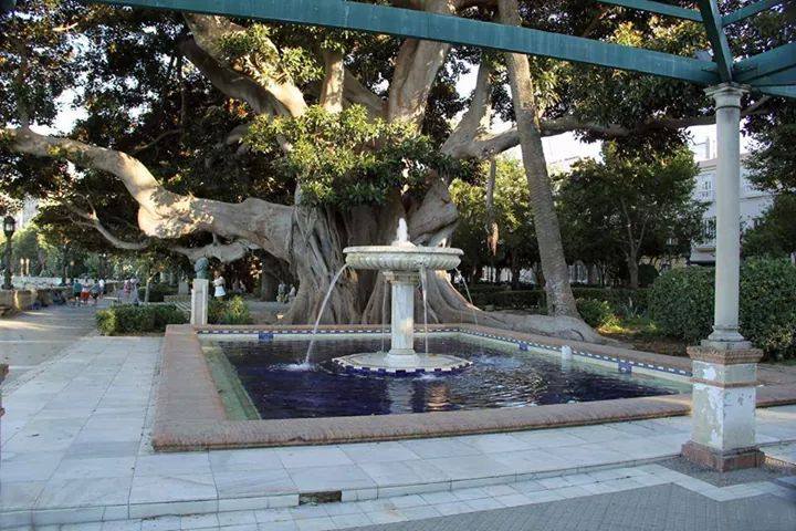 Historia del Cádiz antiguo del siglo XIX y XX: Alameda de Apodaca