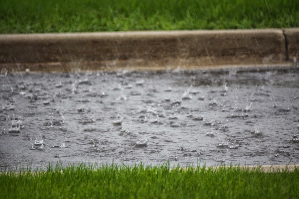 Michigan Exposures: Just a Little Rain....