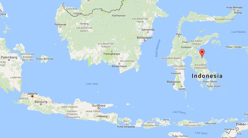 >> Halaman Samping: Jelajah Morowali, Sulawesi. Jalur Darat dan Udara.