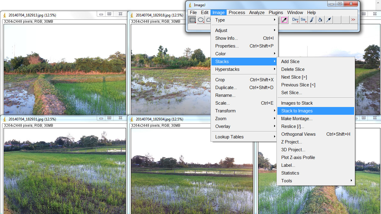 My imageJ: เมนู Image with ImageJ [ตอนที่ 24] Stacks, การสร้าง Stack ...
