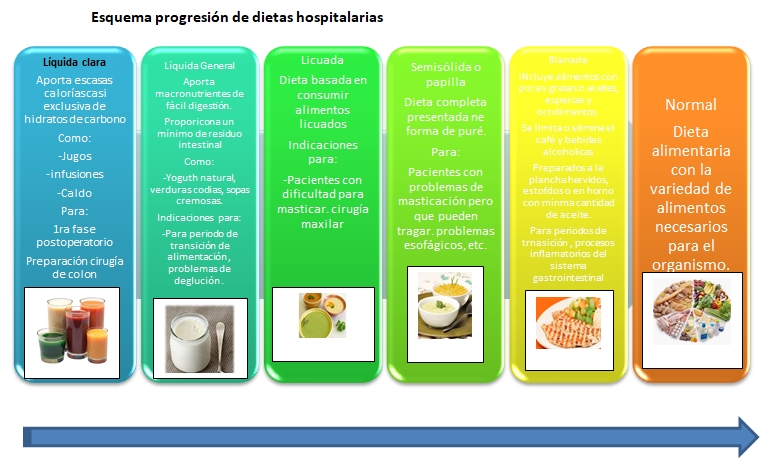 Dietoterapia: Tipos de Dietas ~ BITÁCORA DE UNA ESTUDIANTE DE NUTRICIÓN