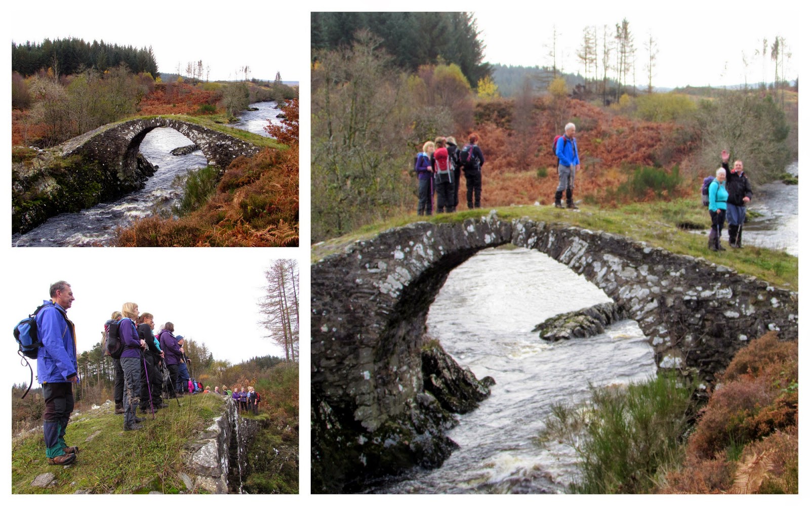 The Glebe Blog: Wigtownshire Ramblers Bargrennan Circular November 2014