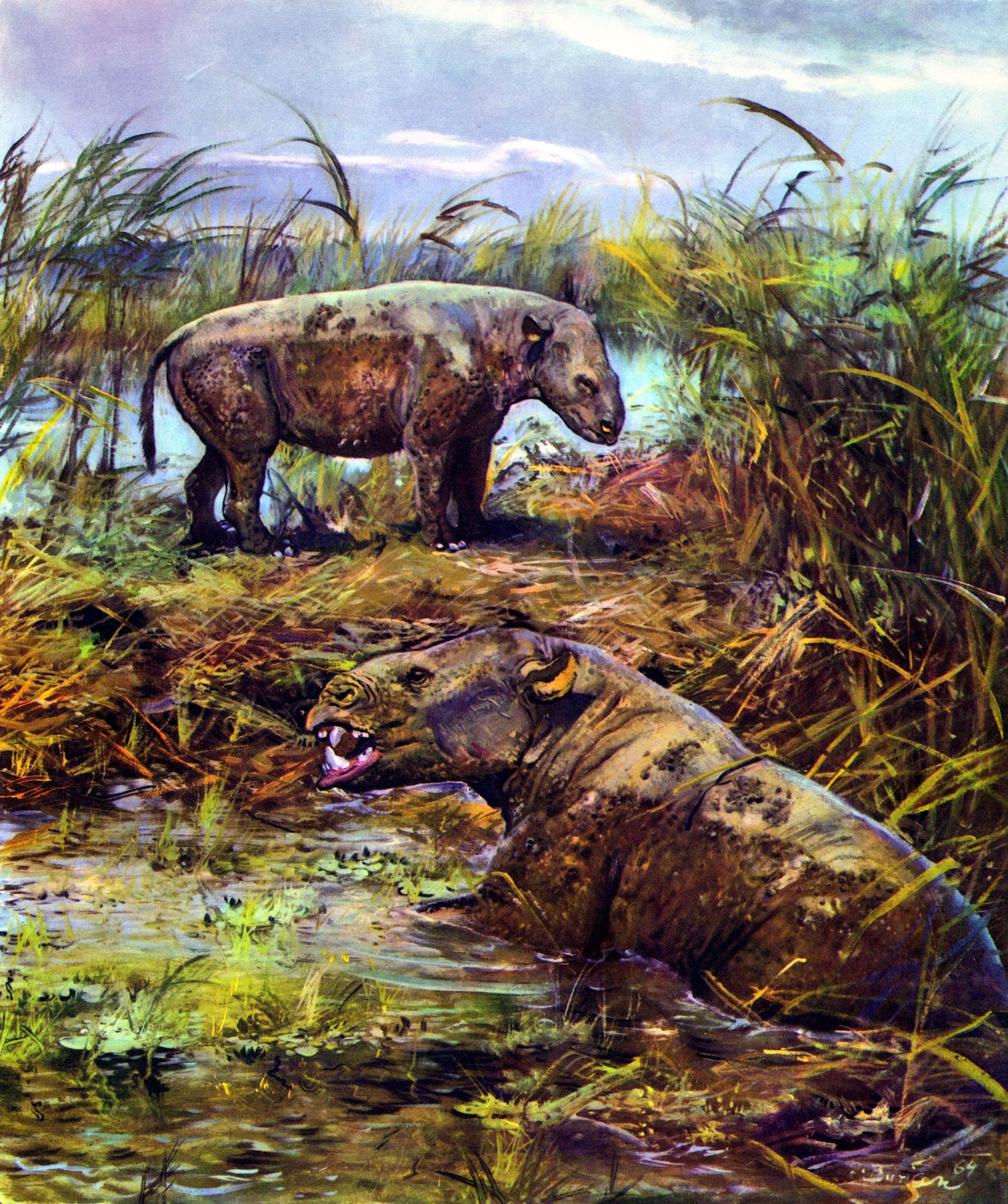 1000+ images about Prehistoric Mammals on Pinterest | Prehistoric ...