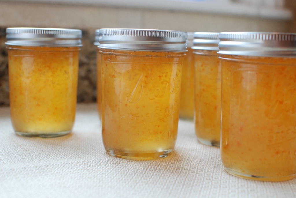 Habanero Ginger Jelly - Simply So Good