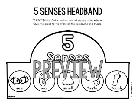 Emily Jane Creates: FIVE SENSES BUNDLE