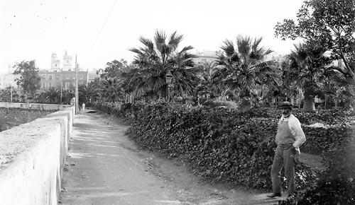 Historia del Cádiz antiguo del siglo XIX y XX: Alameda de Apodaca