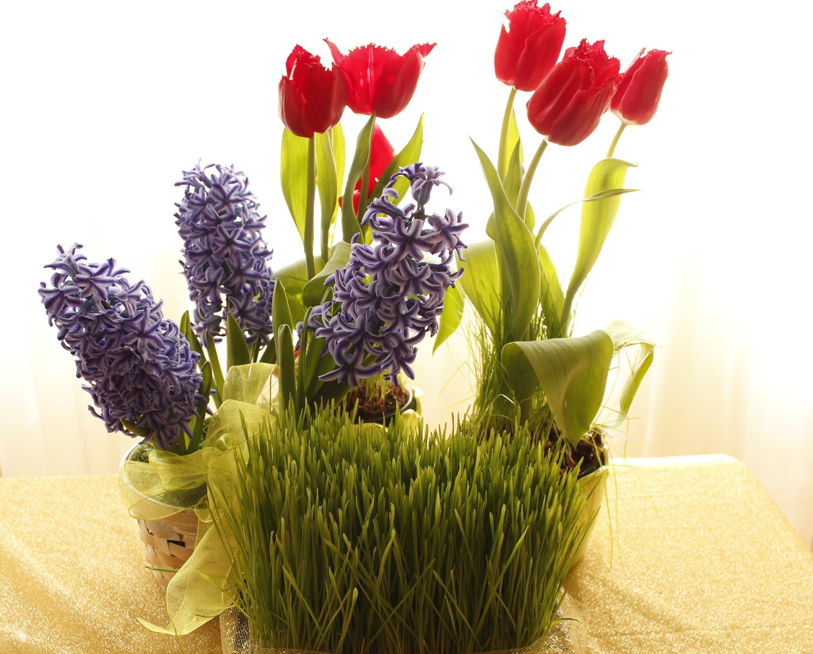 Turmeric & Saffron: Haft Seen Photos Nowruz 2016