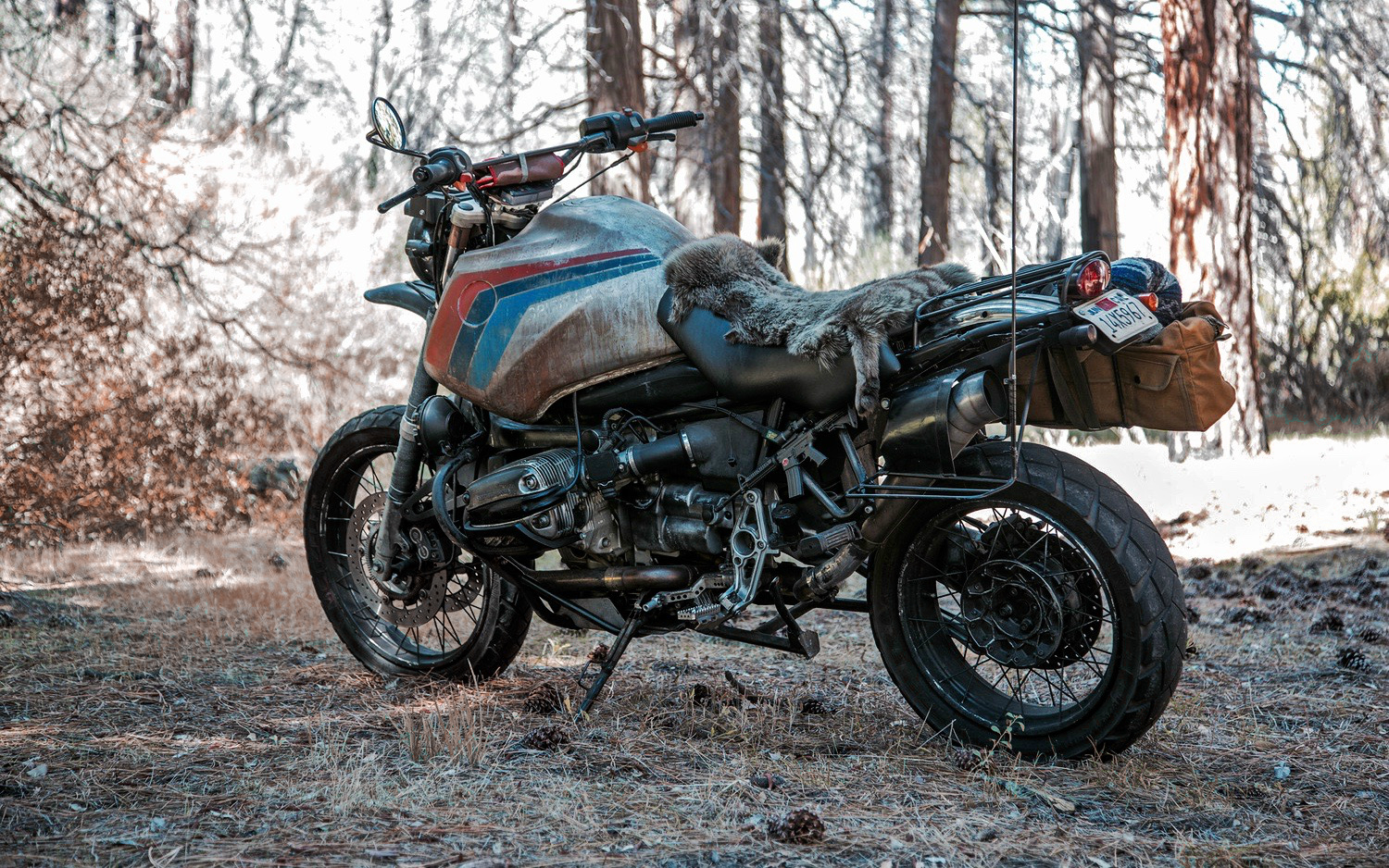 The Hunter - Inazuma café racer