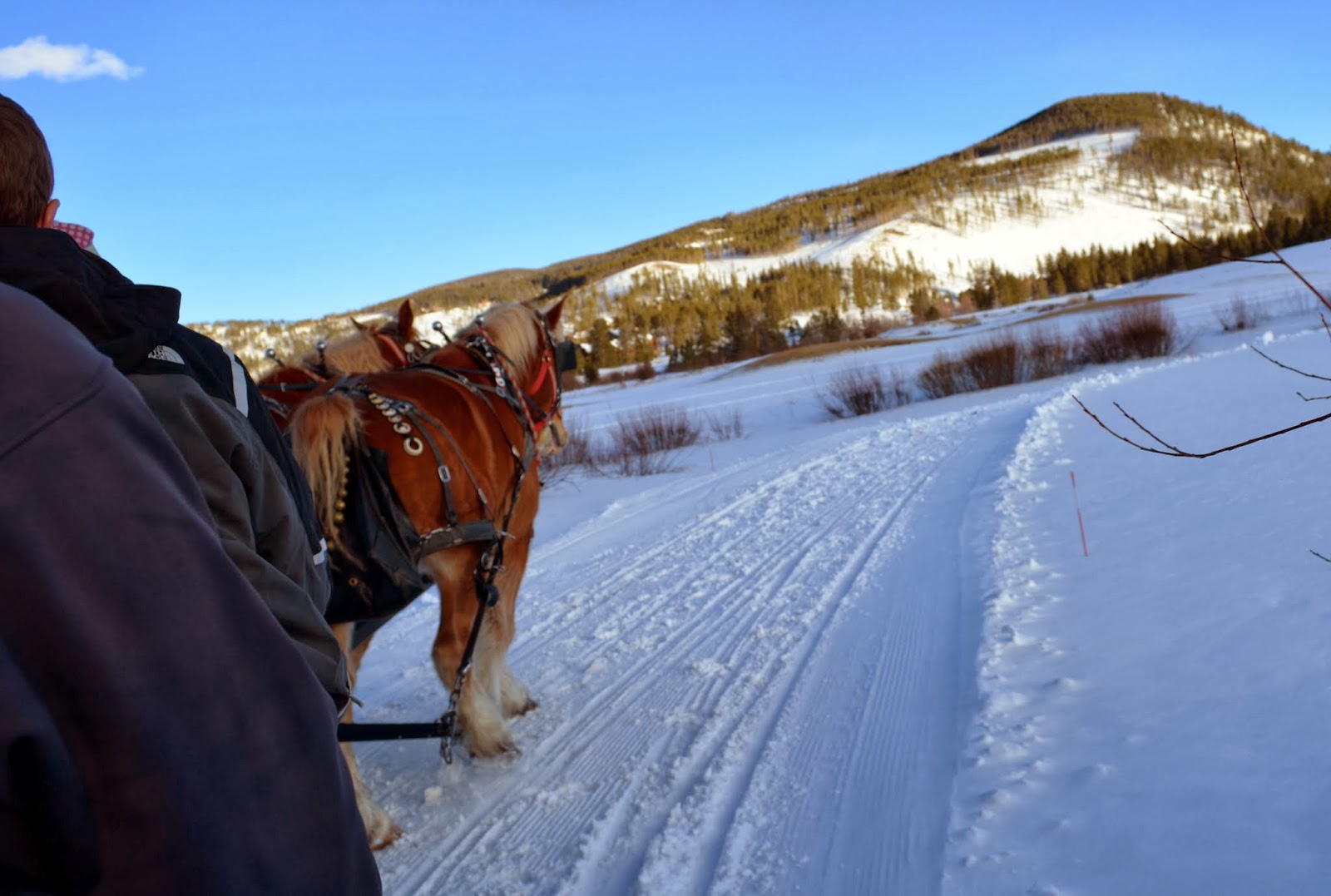 Mille Fiori Favoriti: Sleigh Ride in Breckenridge