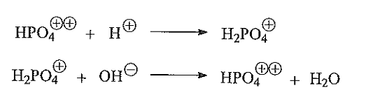 Biochemistry Class Notes BUFFER SYSTEMS AND THEIR ROLES IN REGULATING biochemistry-class-notes-buffer-systems-and-their-roles-in-regulating