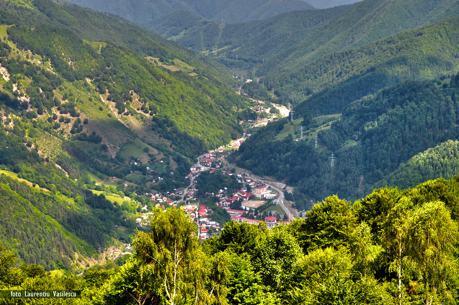 Muntii Lotrului - Ciunget