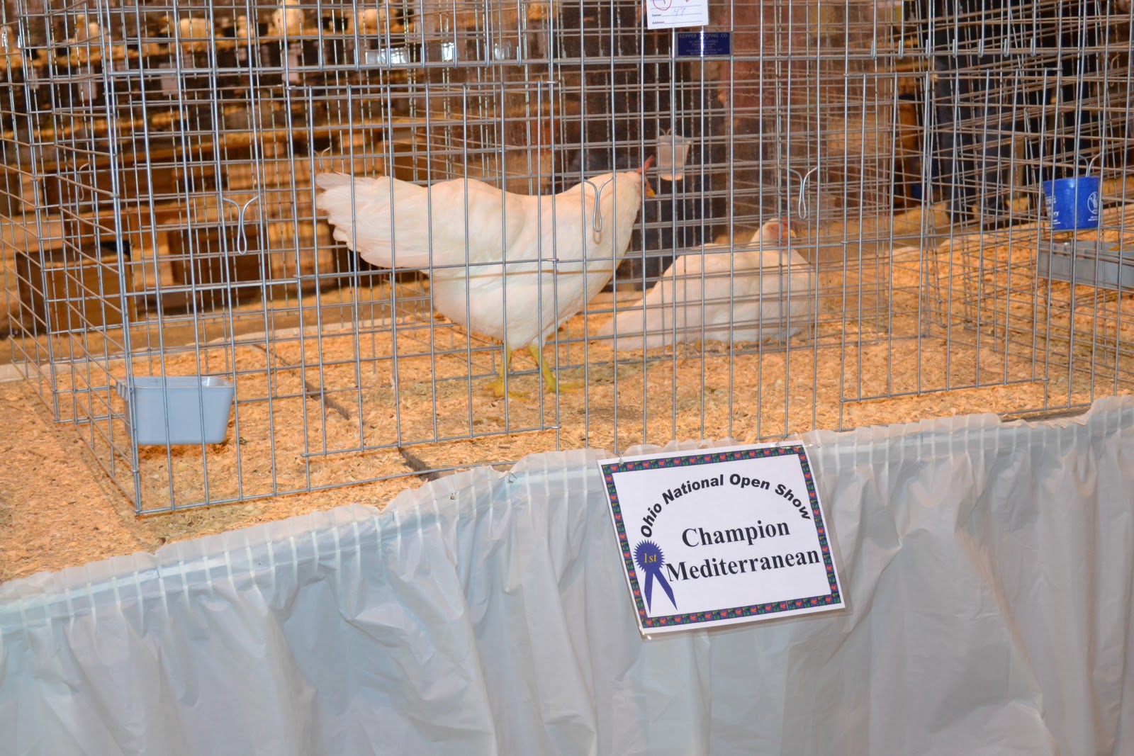 Ohio National Poultry Show: Ohio National Winner Photos