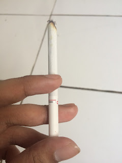 Polo Mild, SKM LTLN Khusus Daerah Jawa Barat dan Sekitarnya dari Group ...