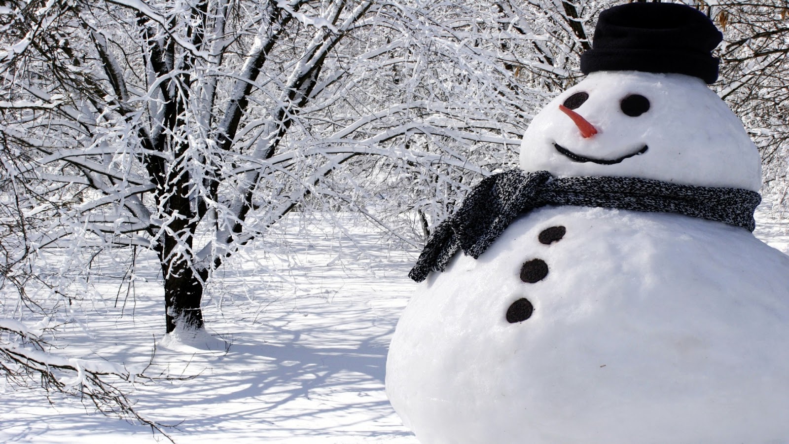 Aquí estoy yo: El hombre de nieve