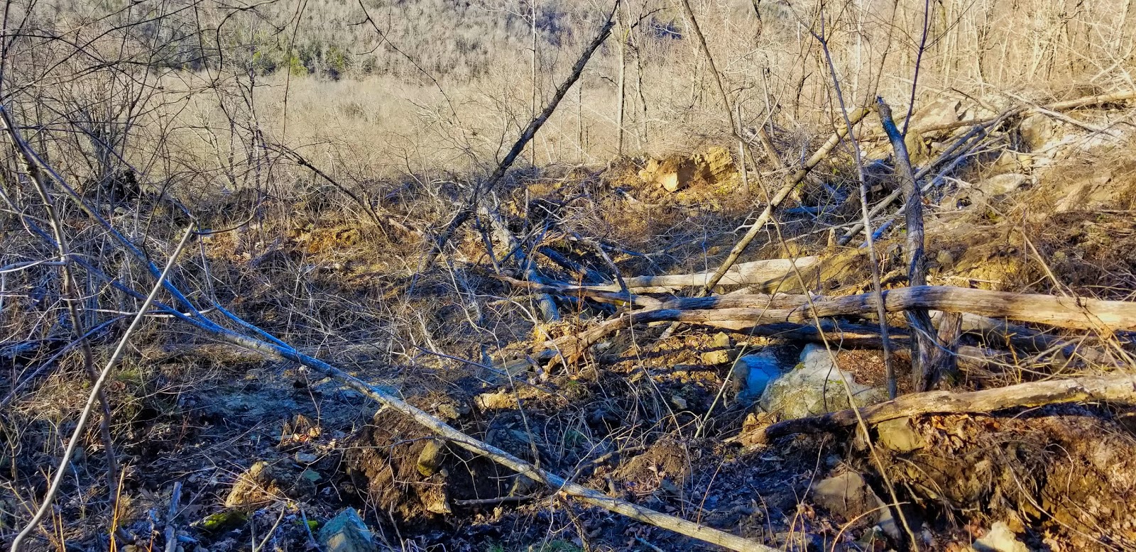 Rick's Hiking Blog: Punchbowl Falls, Stack Rock Homestead Falls, and ...