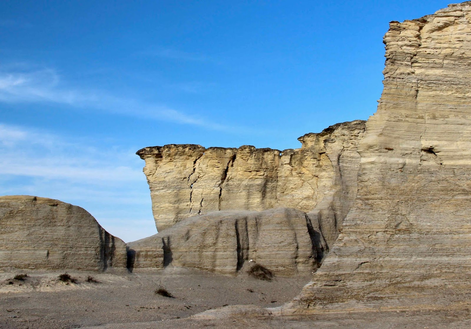 In the Company of Plants and Rocks: To Kansas to See the Chalk