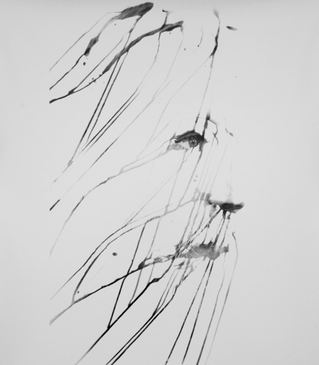 Blond and Brown: Timothy Pakron | Silver Prints