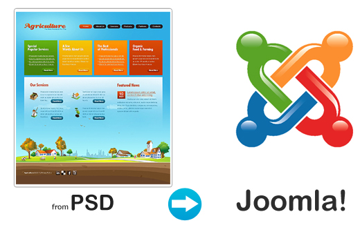 Wordpress Website Design